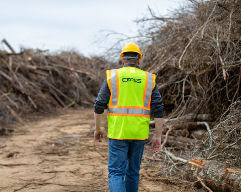Cleaning Up After 2018 Hurricane Michael - Recycling Equipment