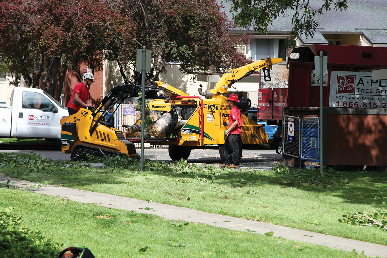 Tree Care Goes High Tech