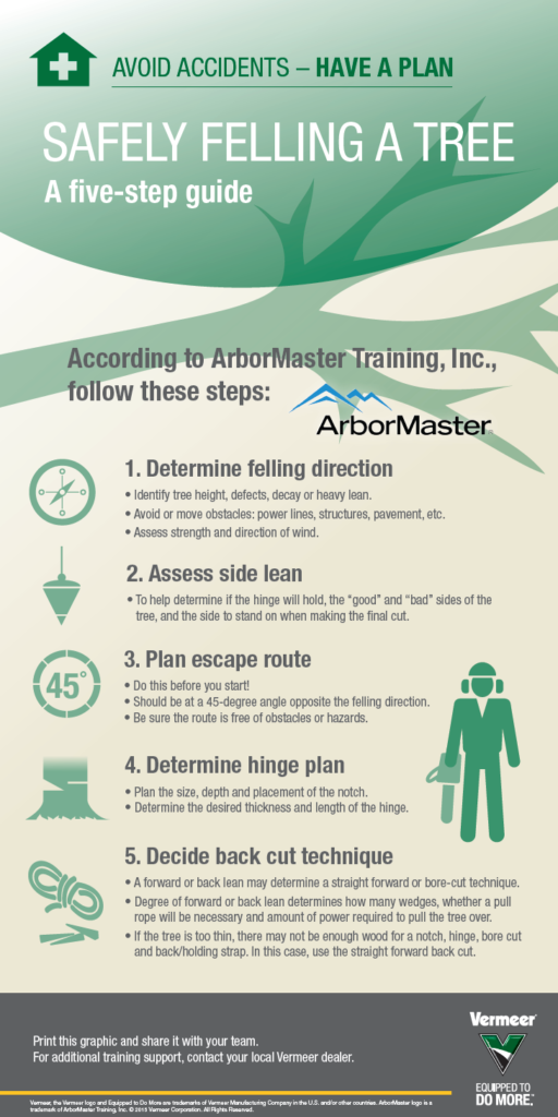 Safely Felling a Tree: A Five-Step Guide