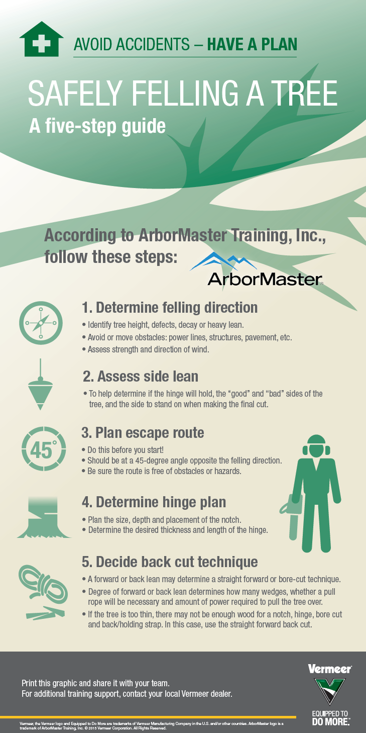 Safely Felling a Tree: A Five-Step Guide