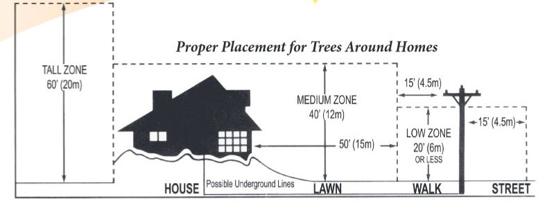 Plan before you plant