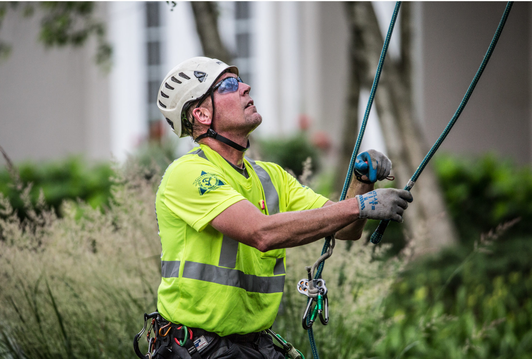 Tree care wear: how to find clothing that works as hard as you do ...
