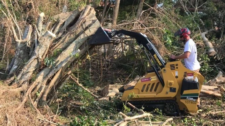 The unsung tree heroes of 3 Alarm Tree Rescue - Tree Care, Rental and ...