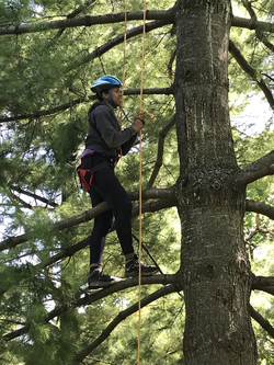 Program opens doors for tomorrow's tree care professionals - Tree Care ...