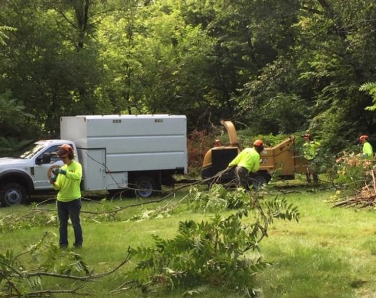 Valley Disaster Relief Uses Vermeer Equipment for Storm Cleanup
