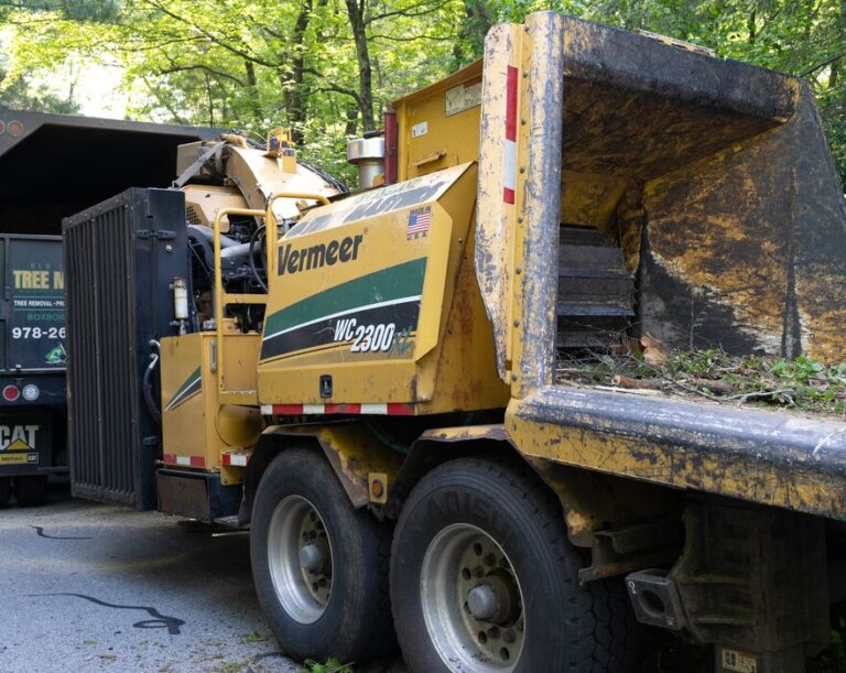 Massachusetts tree service drives success with Vermeer equipment